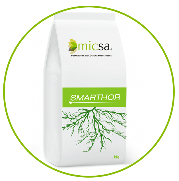 Micsa – Soluciones Biológicas Sostenibles