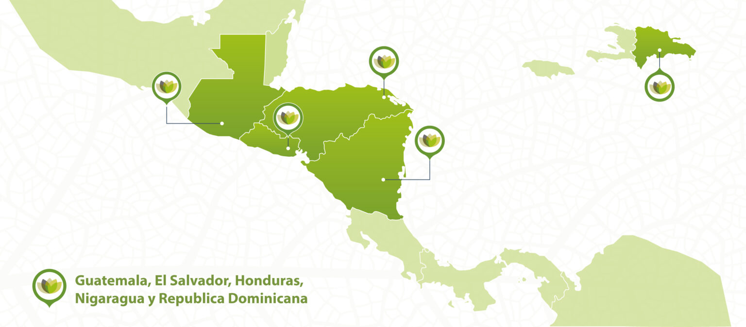 Acerca de Nosotros – Micsa