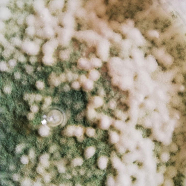 SMARTHOR® – Micsa