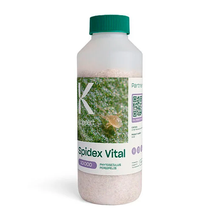 Micsa – Soluciones Biológicas Sostenibles